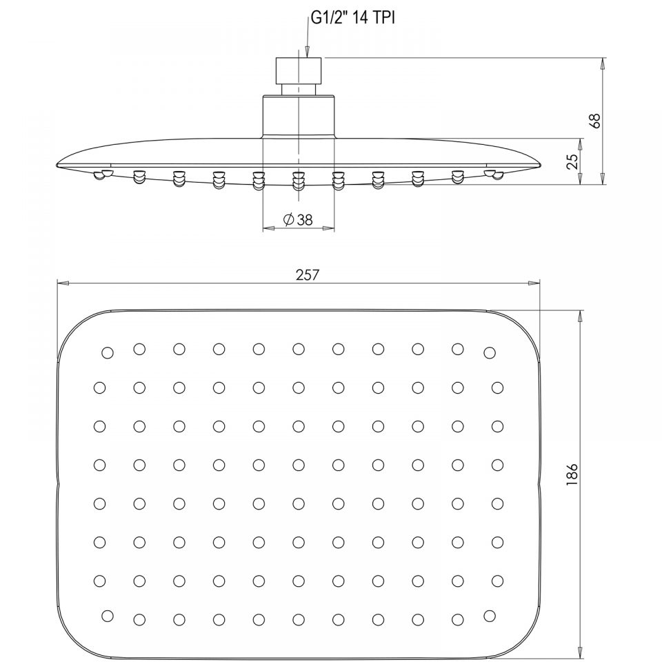 Rush Shower Rose 200 x 250mm - Phoenix Tapware